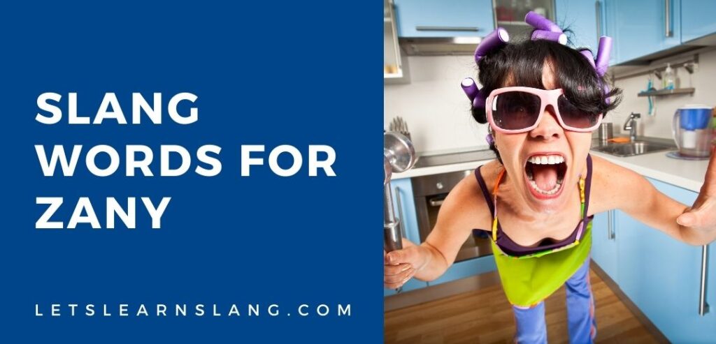 15 Slang Words For Zany And How To Use Them 15-slang-words-for-zany-and-how-to-use-them